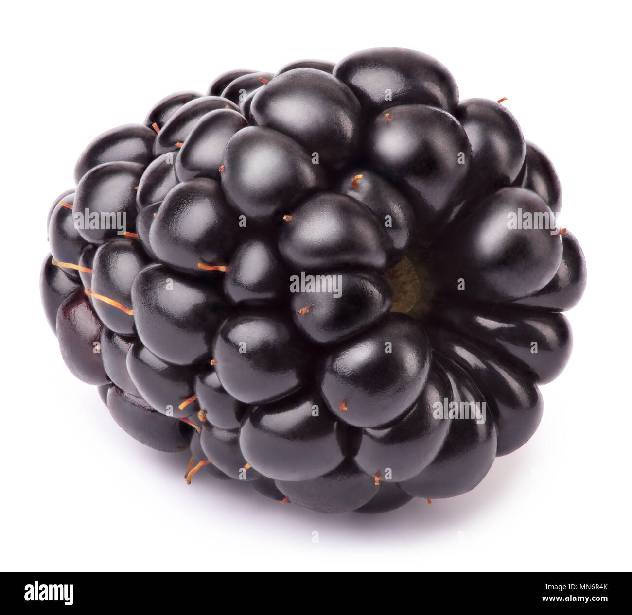 Ripe lying blackberry isolated on white background with clipping path ...