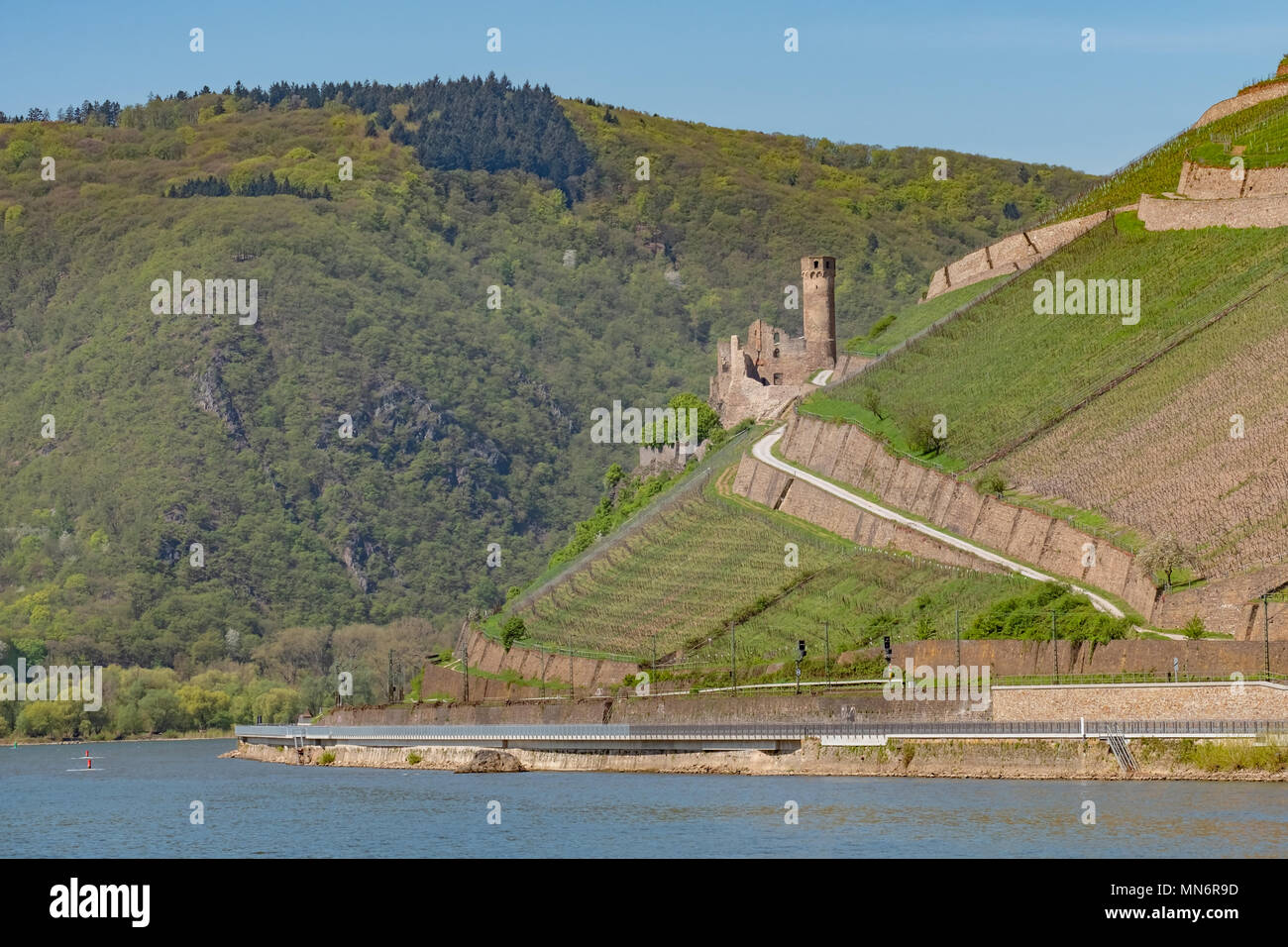 Found on the banks of the Rhine River near Rudesheim Germany, Ehrenfels ...