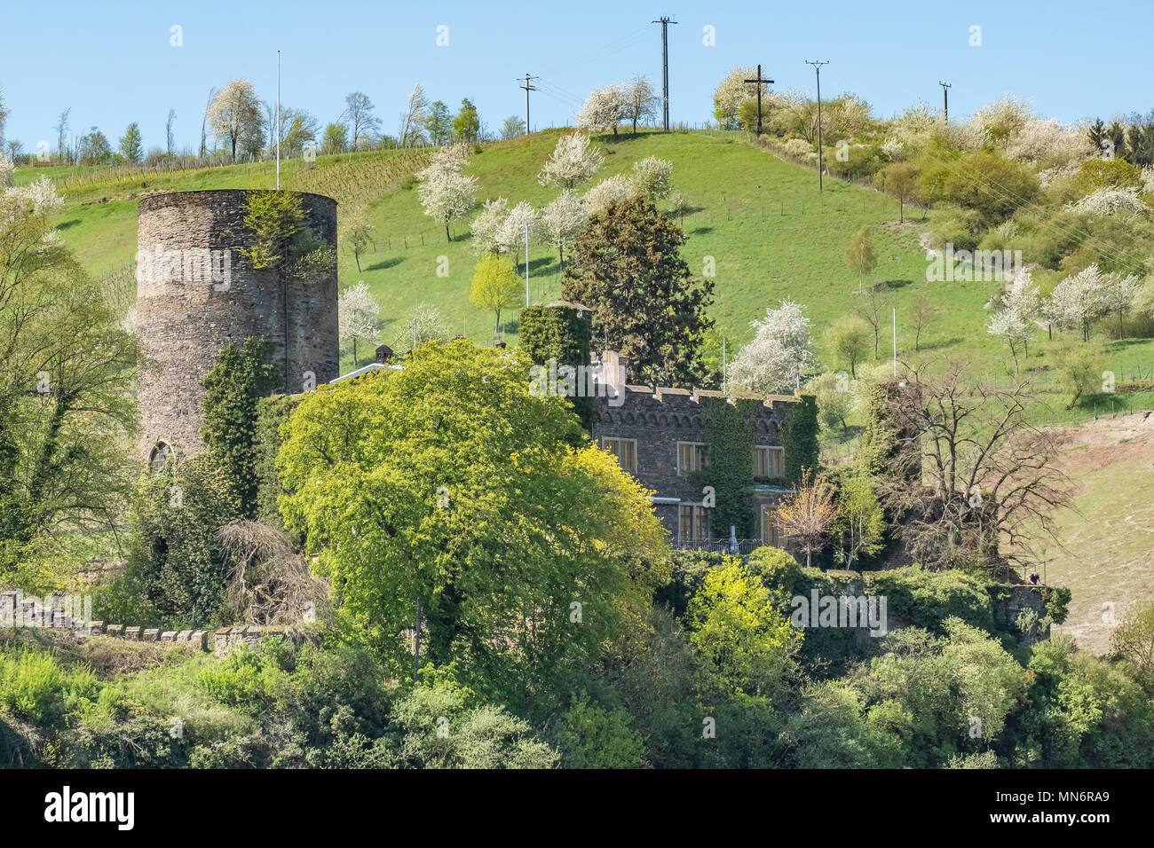 Heimburg castle and niederheimbach hi-res stock photography and images ...