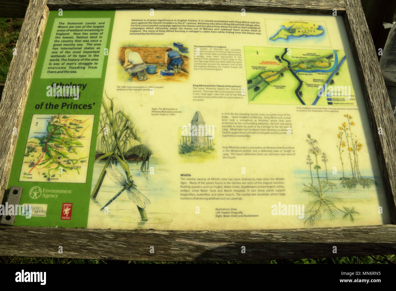 Athelney somerset hi-res stock photography and images - Alamy