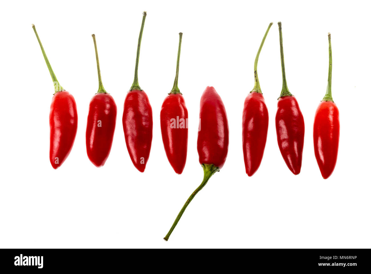 Ethiopia species Cut Out Stock Images & Pictures - Alamy