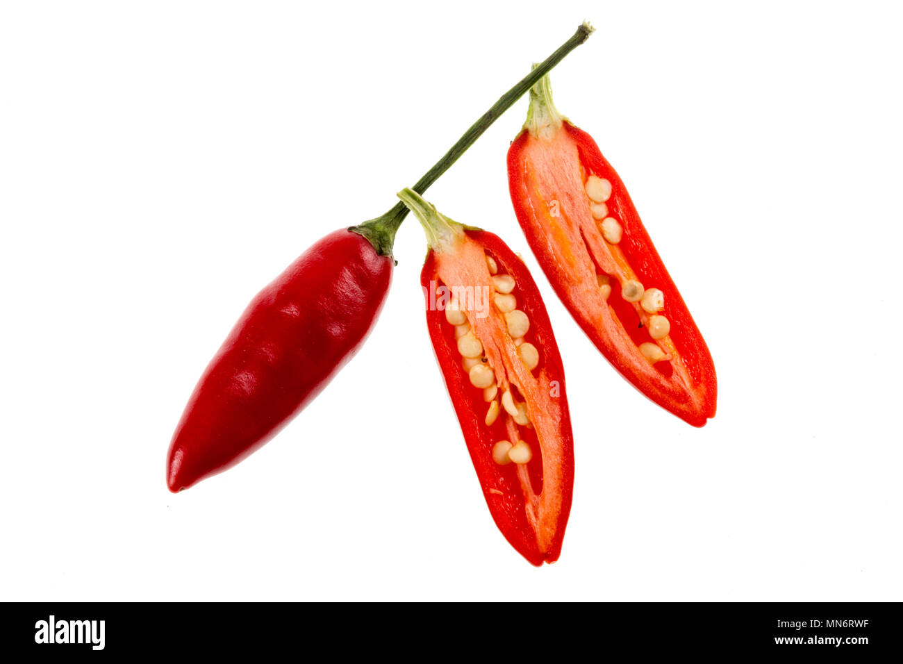 Ethiopia species Cut Out Stock Images & Pictures - Alamy