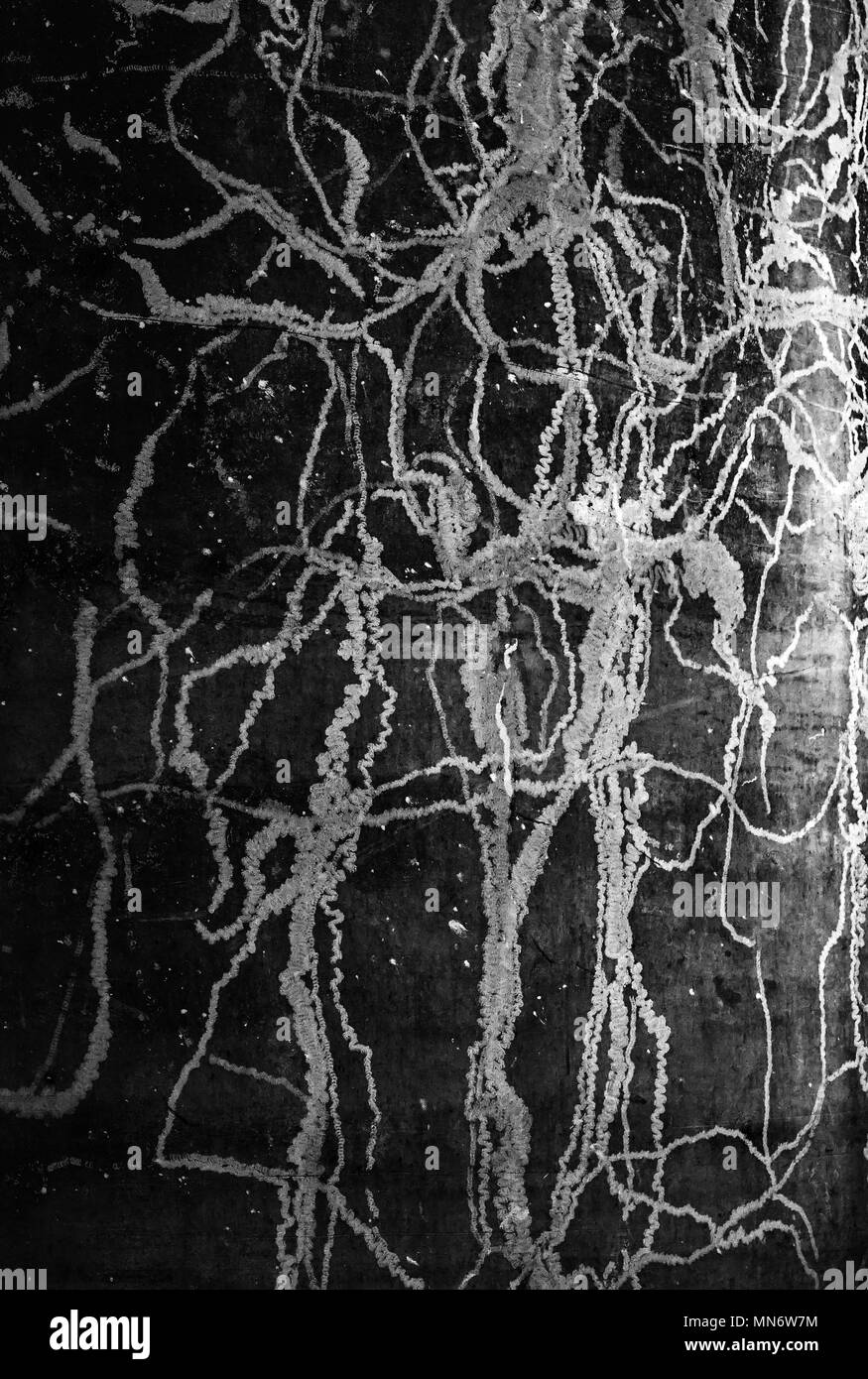 Unusual organic textures Stock Photo - Alamy