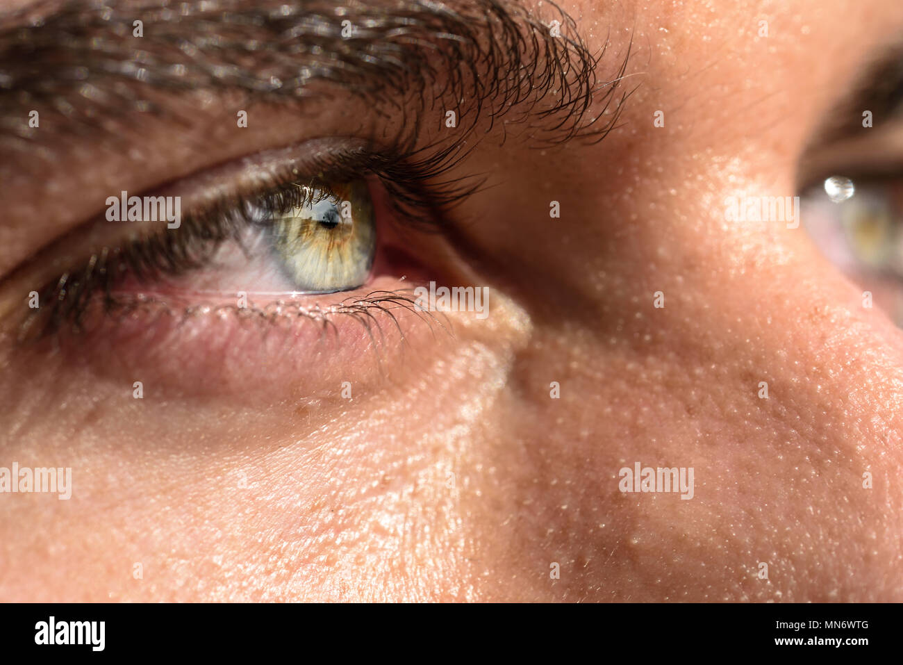 Close-up shot of man’s eye. Man with blue eyes Stock Photo - Alamy