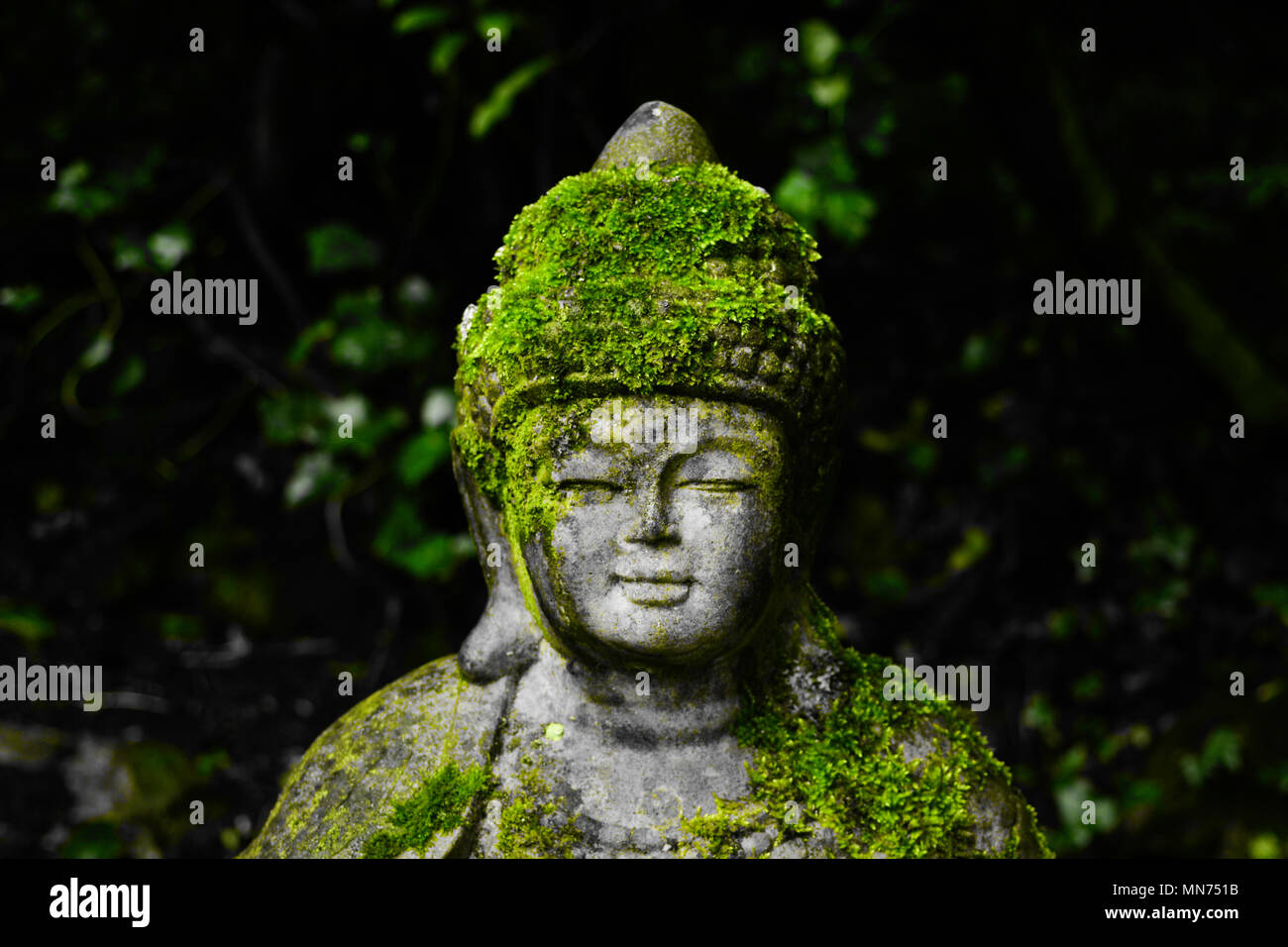 Meditating for inner peace in a serene area Stock Photo - Alamy
