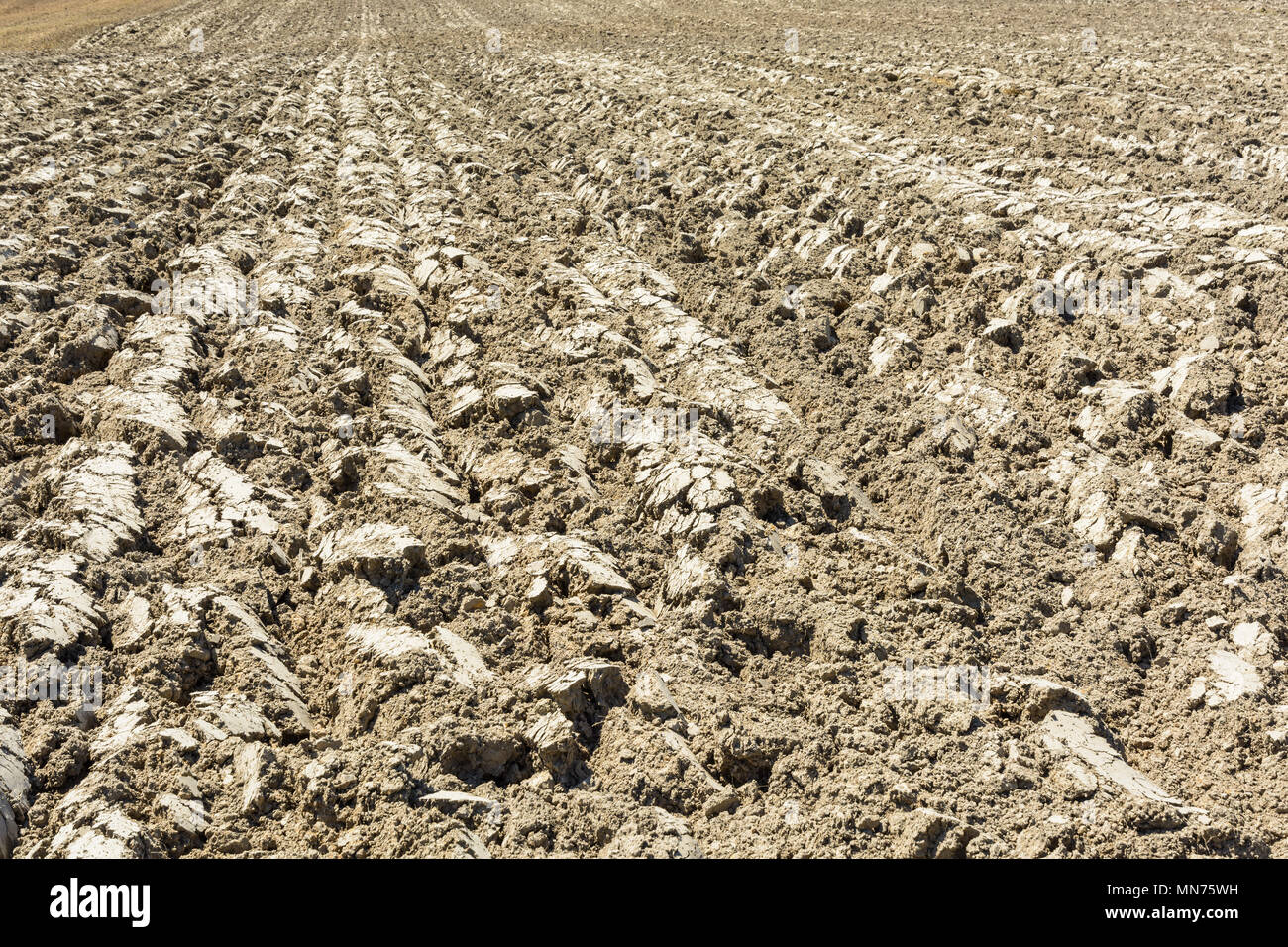 Deep furrows hi-res stock photography and images - Alamy