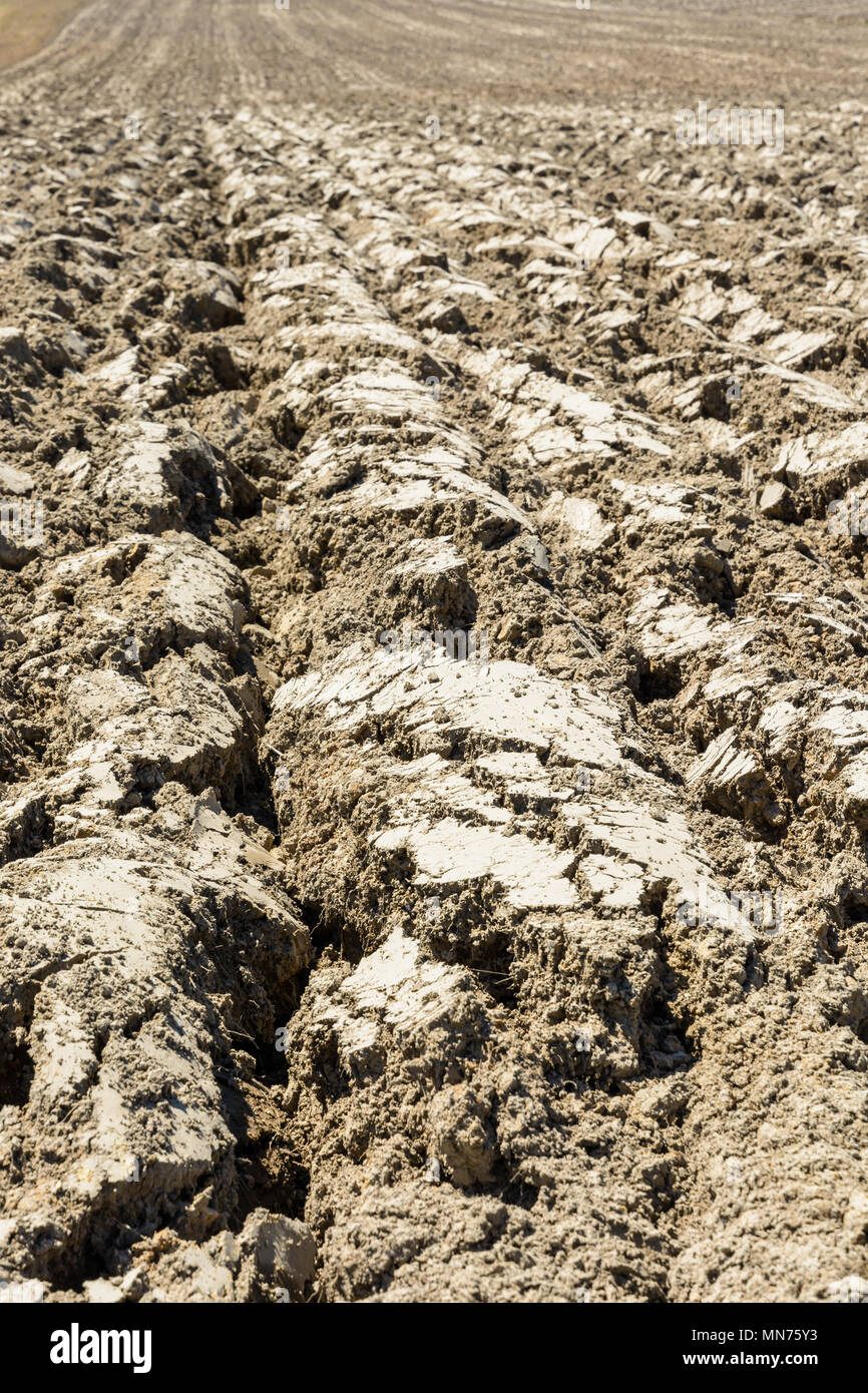 Deep furrows dried by the sun on a plowed land Stock Photo - Alamy