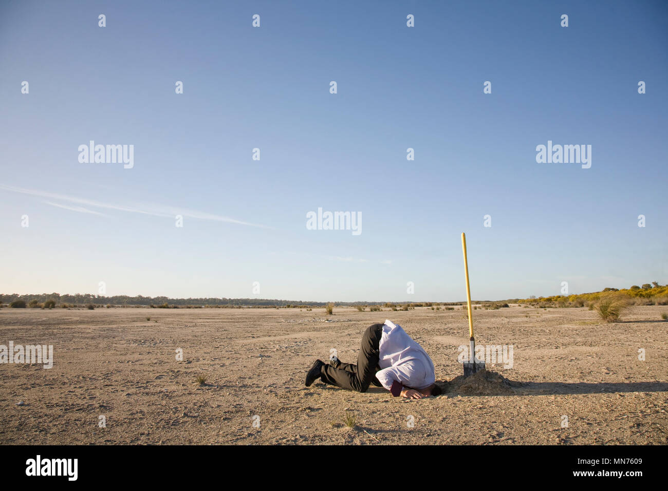 Head in sand business hi-res stock photography and images - Alamy