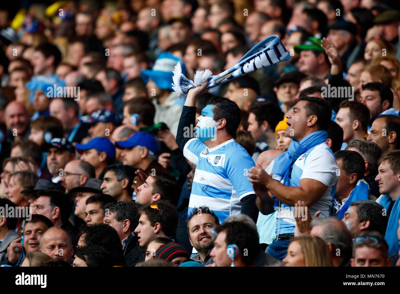 Springbok rugby fans stadium hi-res stock photography and images - Alamy