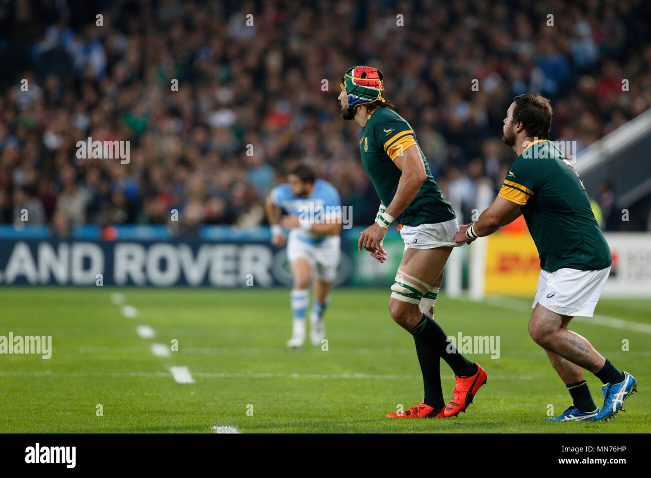 South Africas Frans Malherbe High Resolution Stock Photography and ...