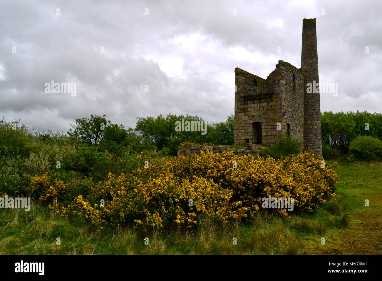 Fortescue house hi-res stock photography and images - Alamy