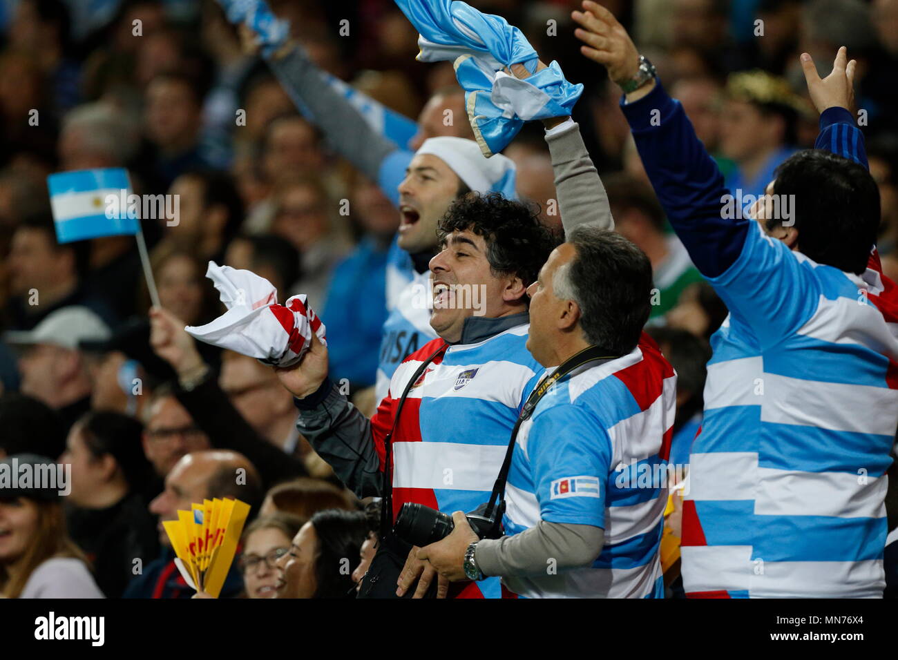 Springbok fans hi-res stock photography and images - Alamy