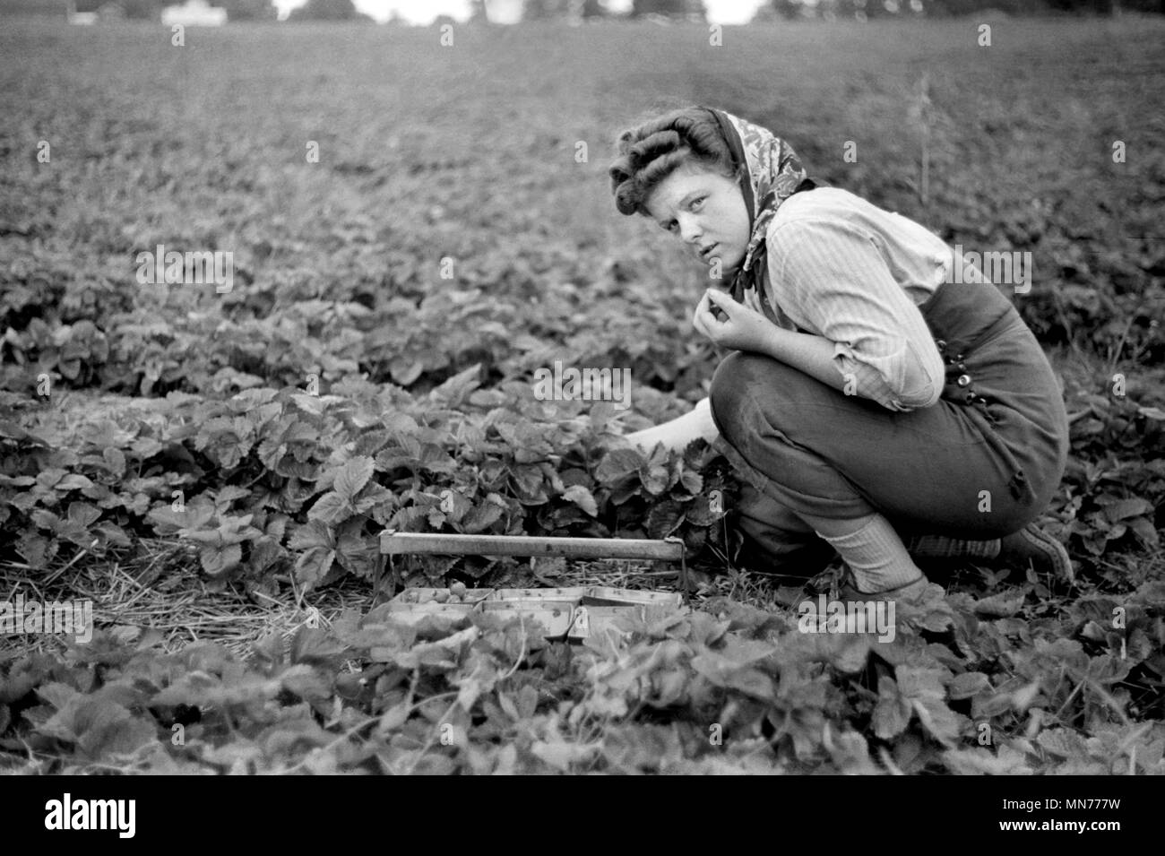 Farmer 1940s hi-res stock photography and images - Alamy