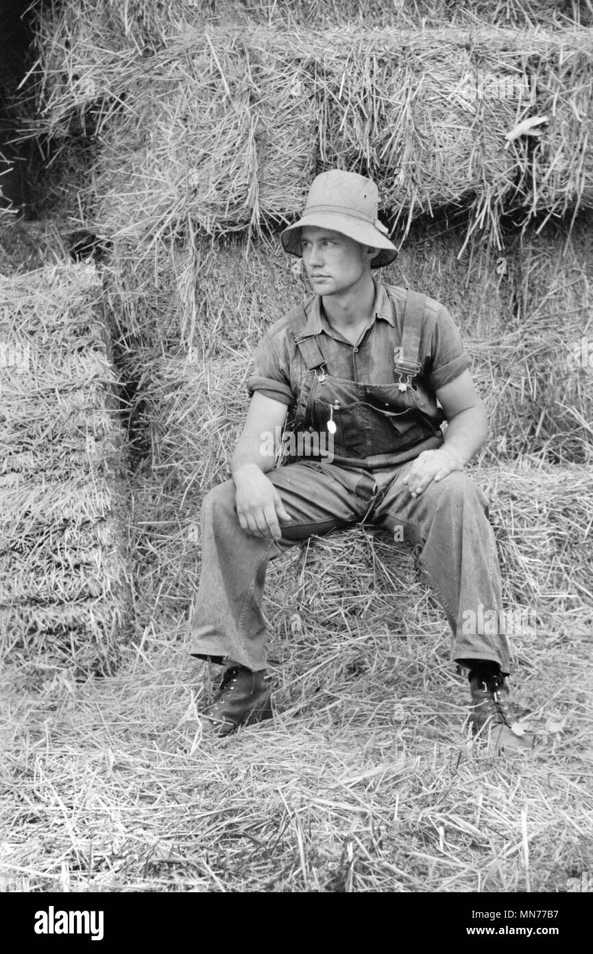 Dairy farm 1930s hi-res stock photography and images - Alamy