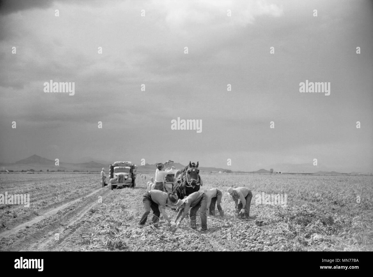 1930s farm machinery hi-res stock photography and images - Alamy