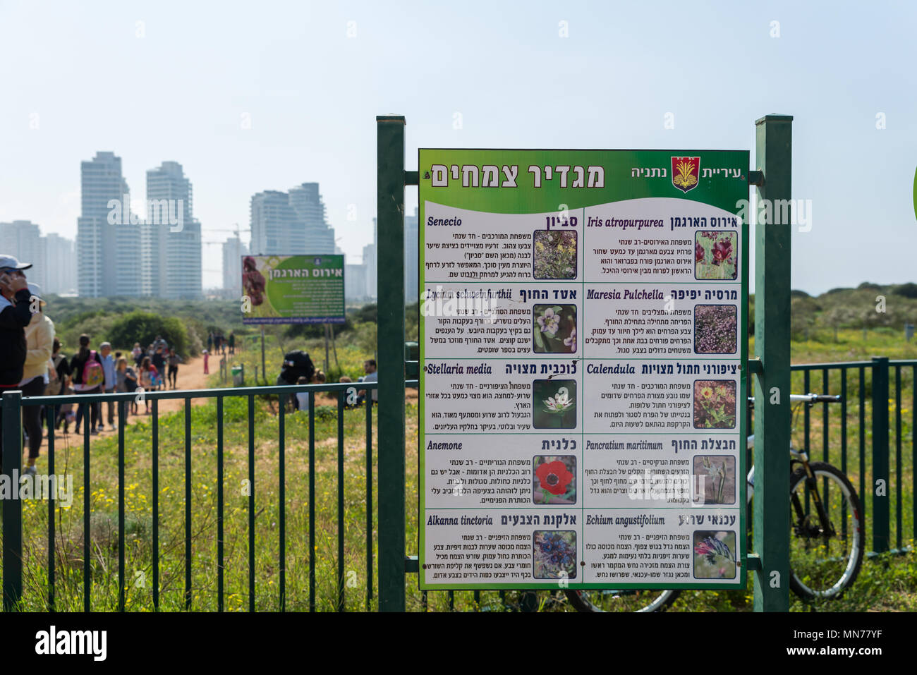Irus Argaman Reserve in Netanya, Israel Stock Photo - Alamy