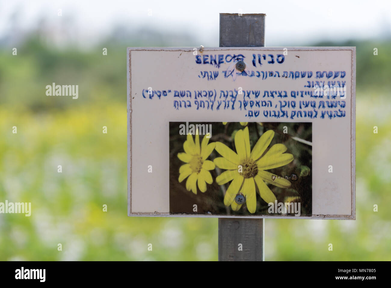 Irus argaman reserve hi-res stock photography and images - Alamy