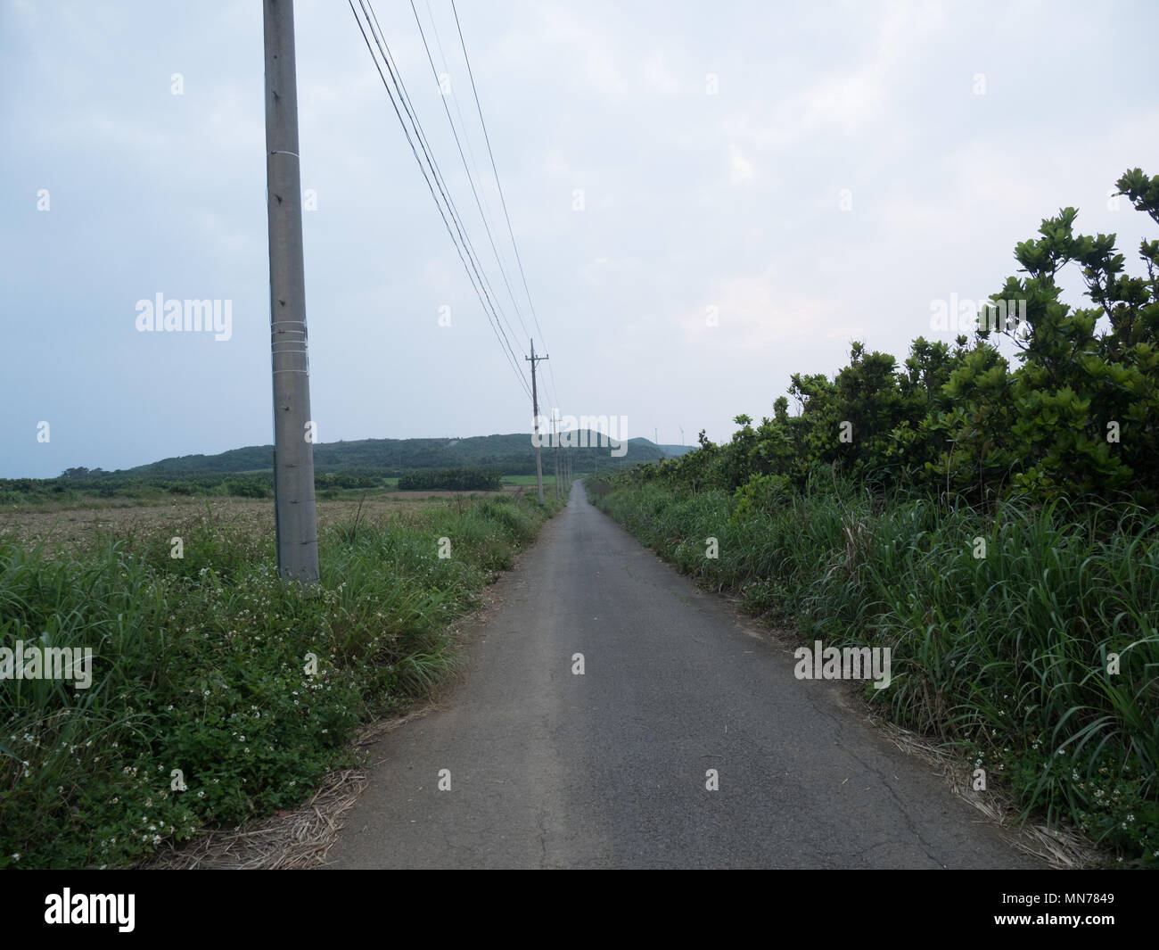 Landscape in Kohama Island, Okinawa Prefecture, Japan Stock Photo - Alamy