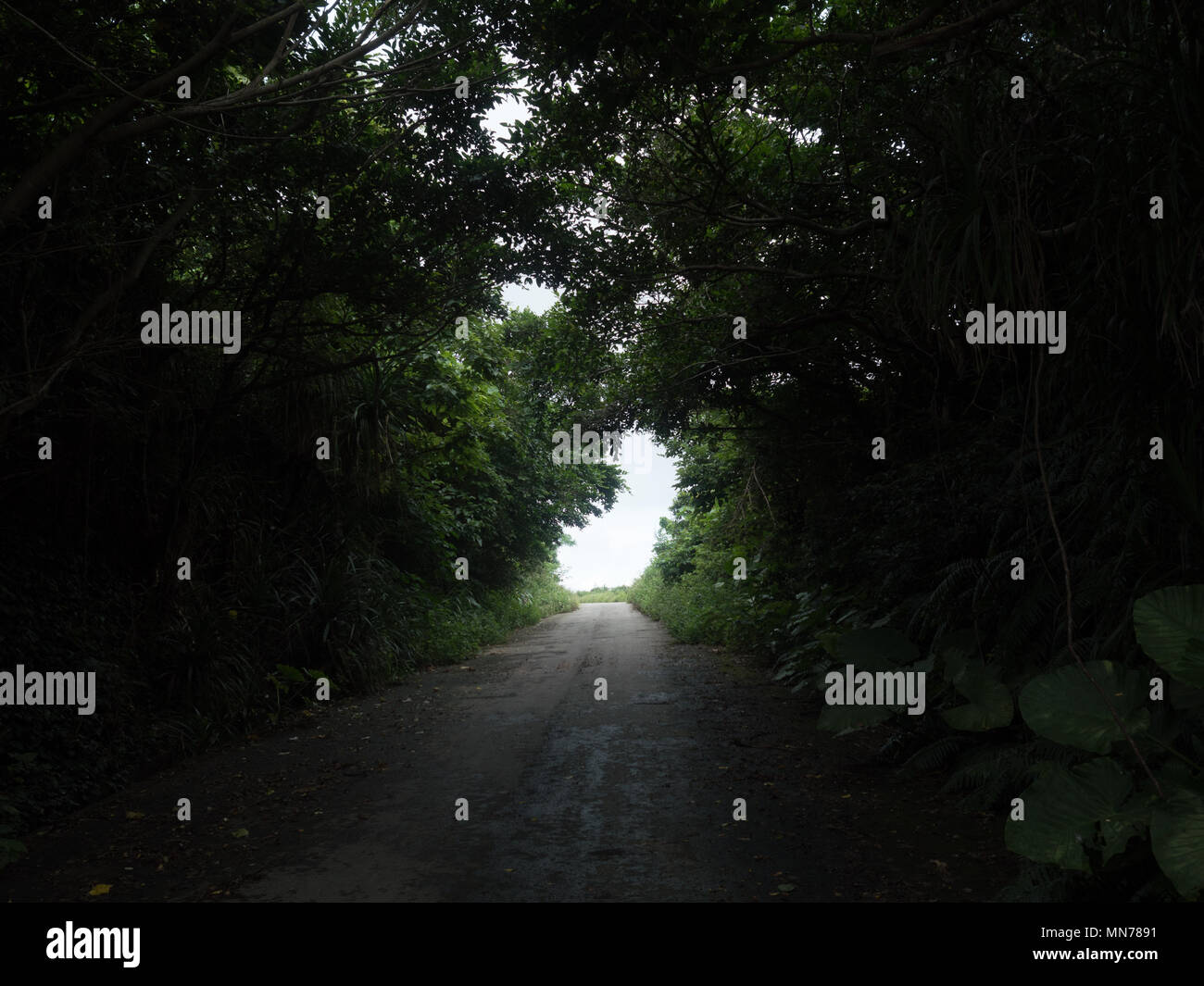 Landscape in Kohama Island, Okinawa Prefecture, Japan Stock Photo - Alamy