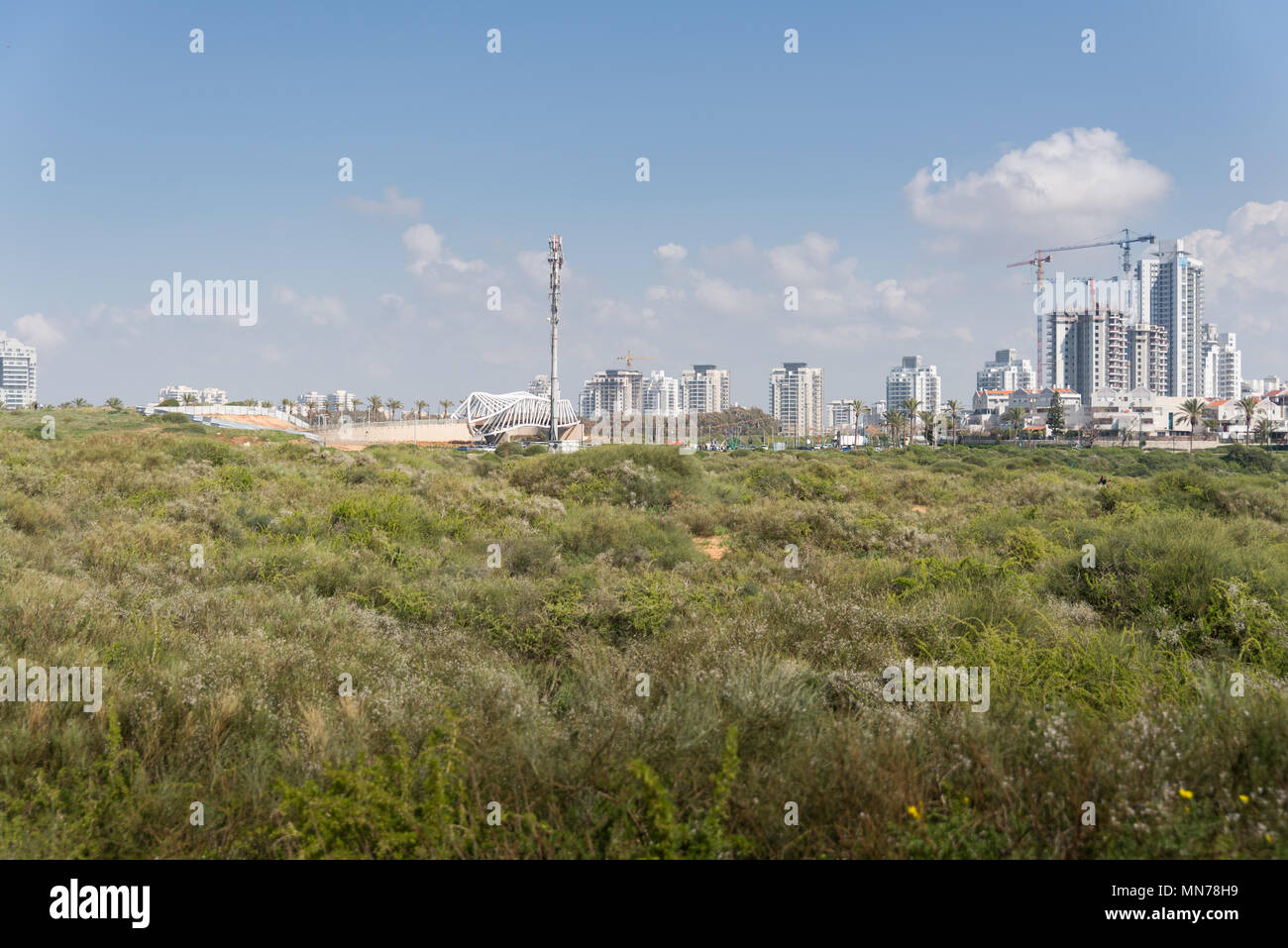 Irus Argaman Reserve in Netanya, Israel Stock Photo - Alamy