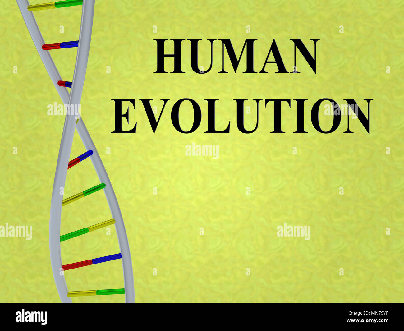 3D illustration of HUMAN EVOLUTION script with DNA double helix ...