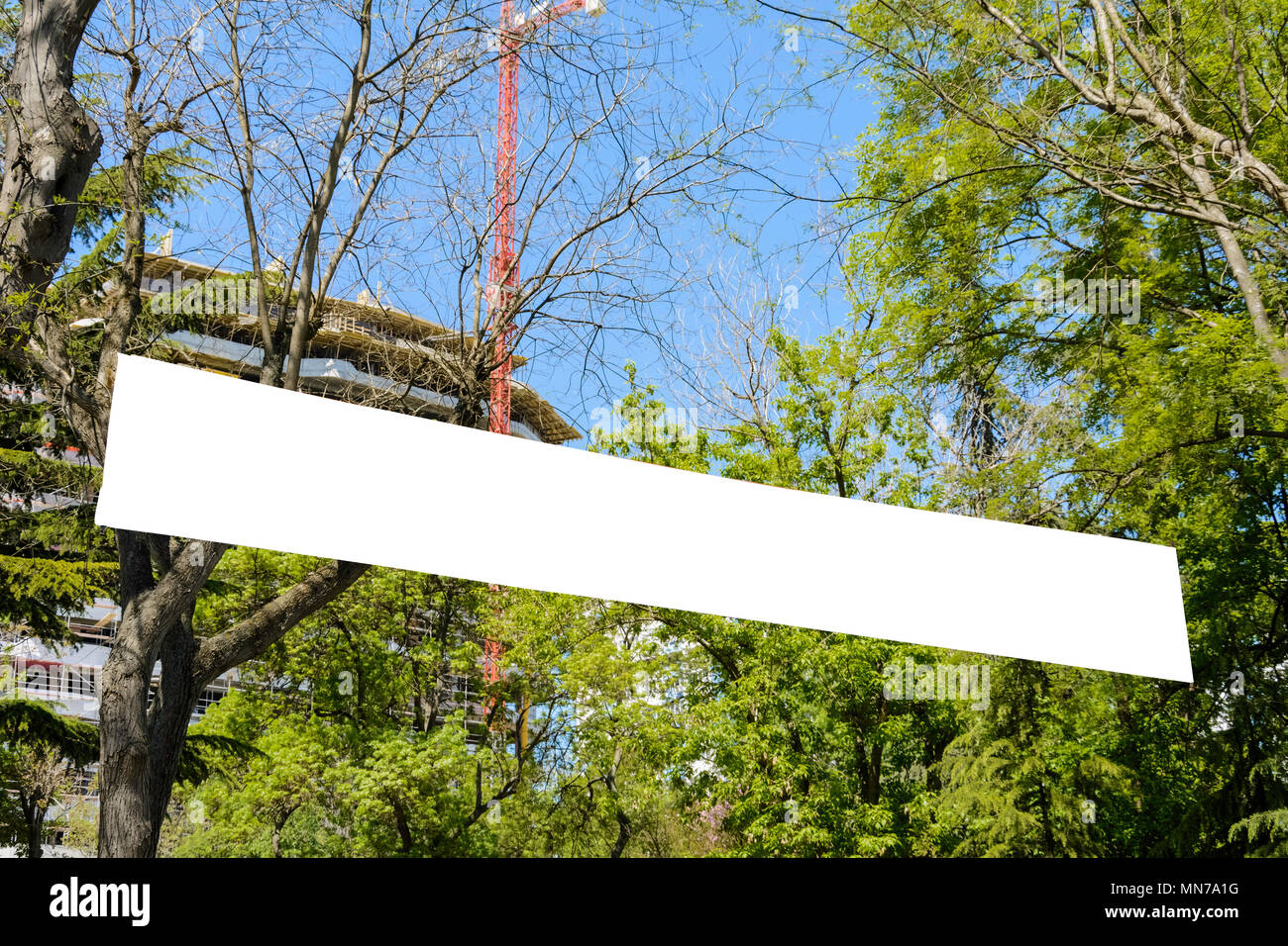 Blank banner floating over the trees with place for your text and ...