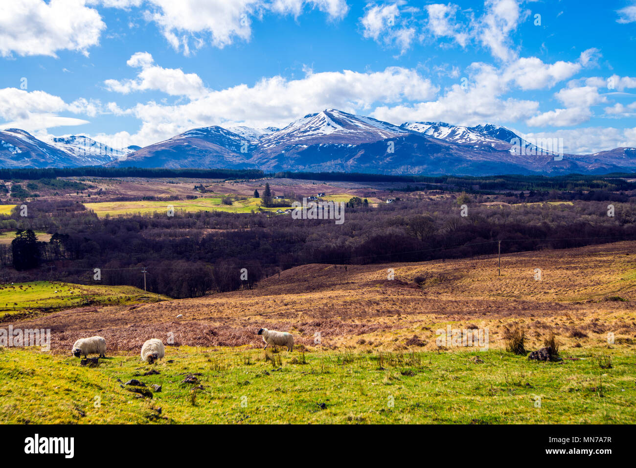 A panoramic view of the Ben Nevis Range from Spean Bridge in the ...