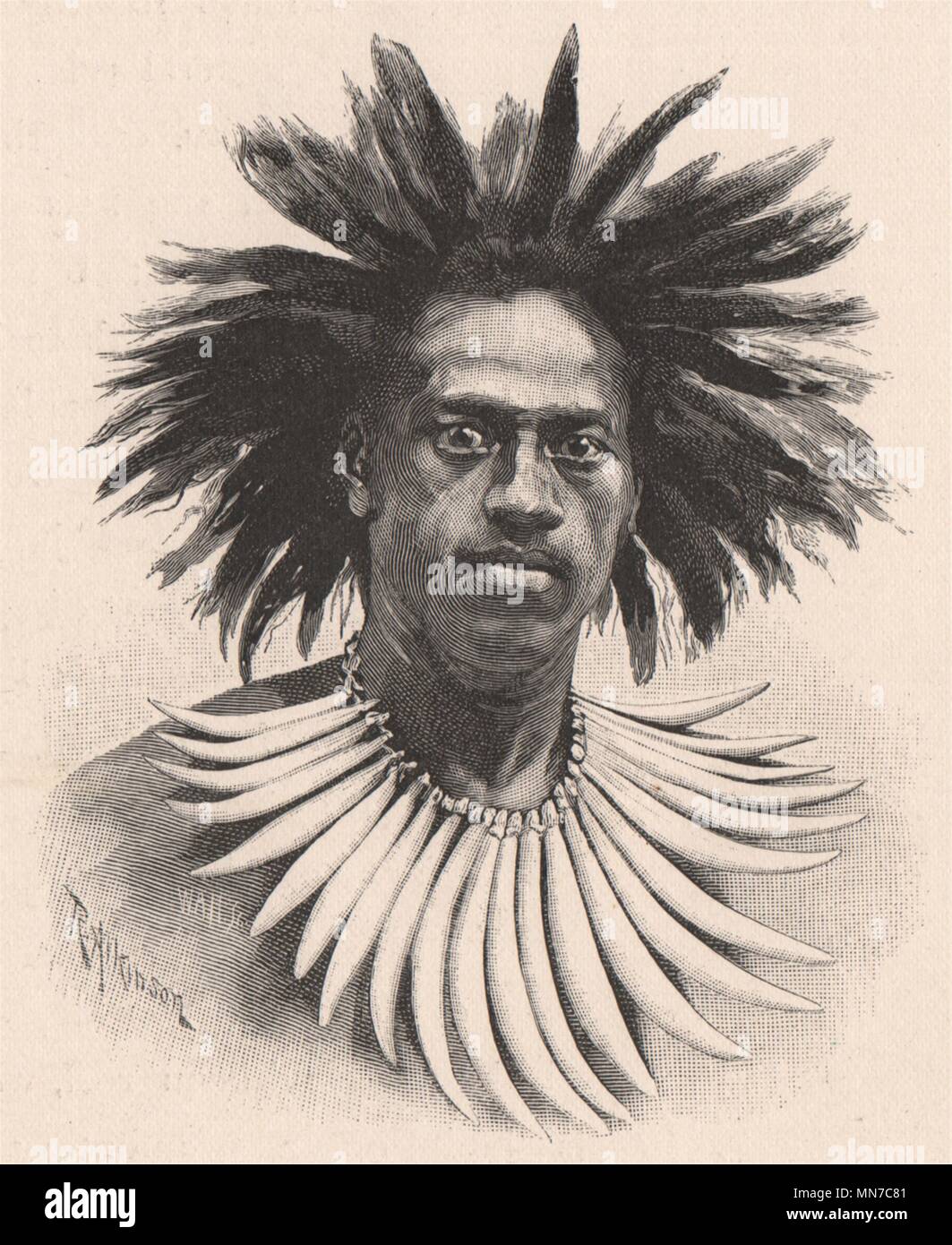 Fijian Male. FIJI 1888 old antique vintage print picture Stock Photo ...