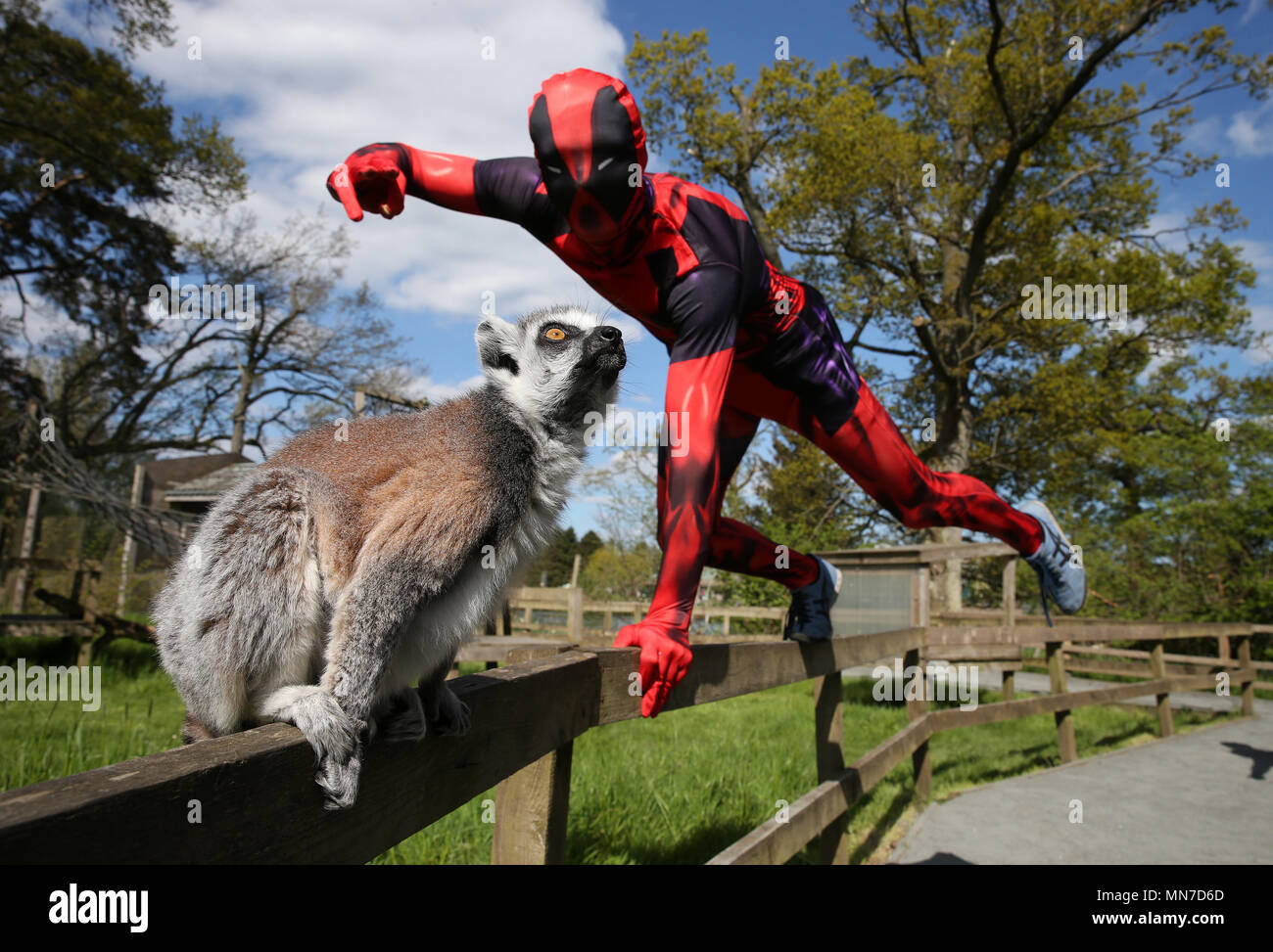 Deadpool hi-res stock photography and images - Alamy