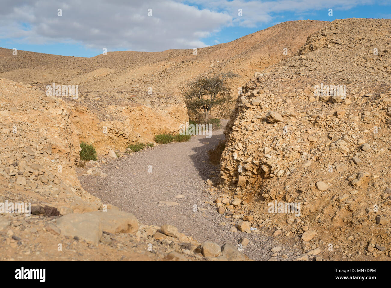 Visiting Red Canyon at Eilat mountains, Israel Stock Photo - Alamy
