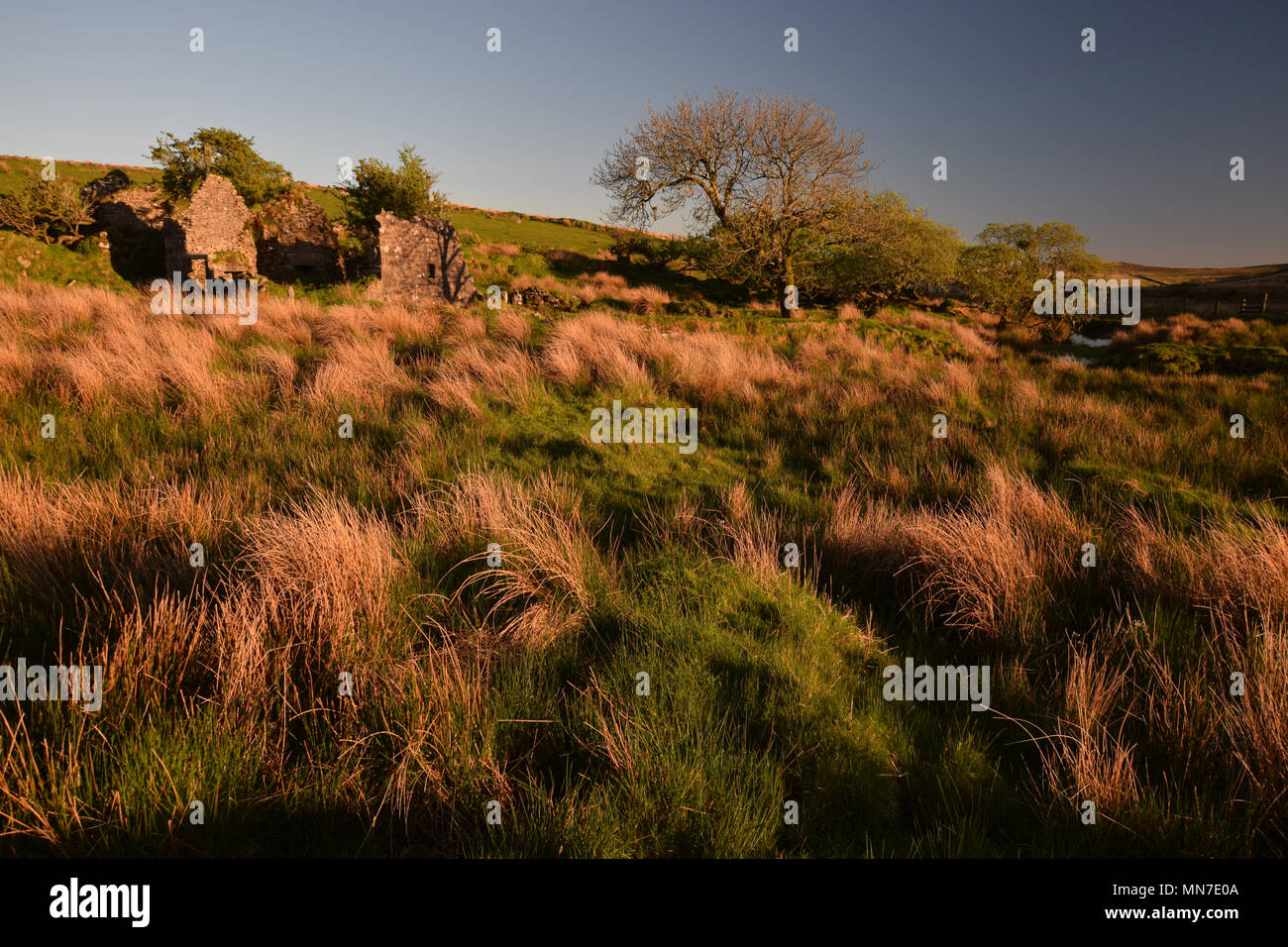Ruined Farmhouse Garrow Bodmin Moor Cornwall Stock Photo - Alamy