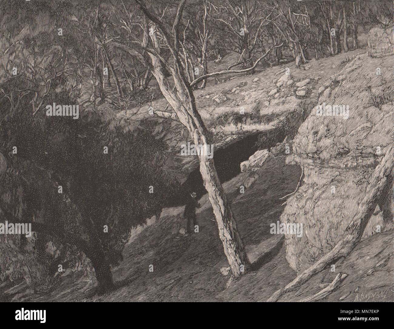 Old mansfield hi-res stock photography and images - Alamy