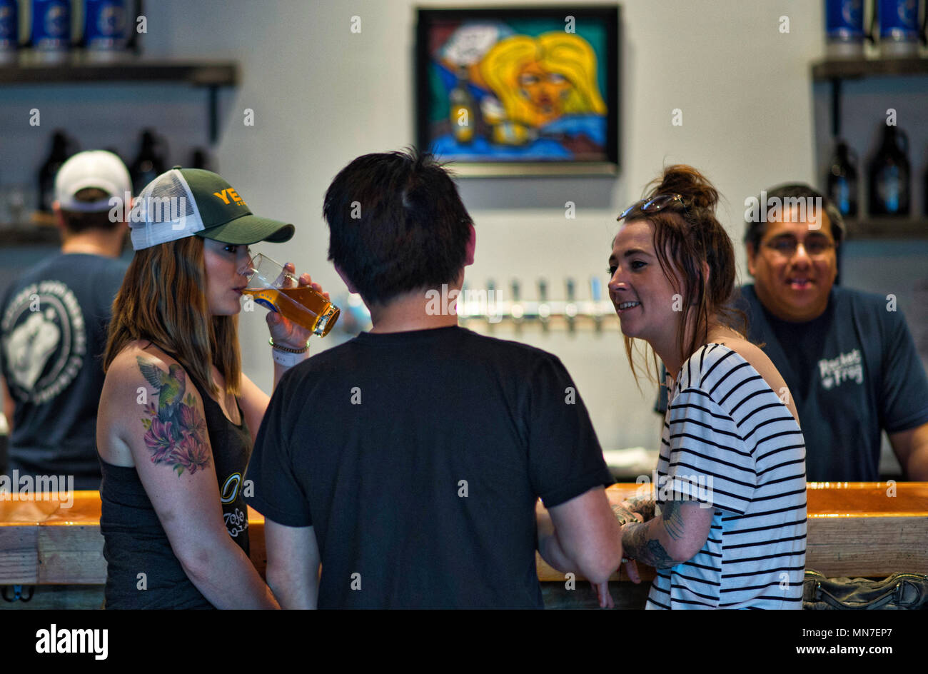 Rocket frog brewery hi-res stock photography and images - Alamy