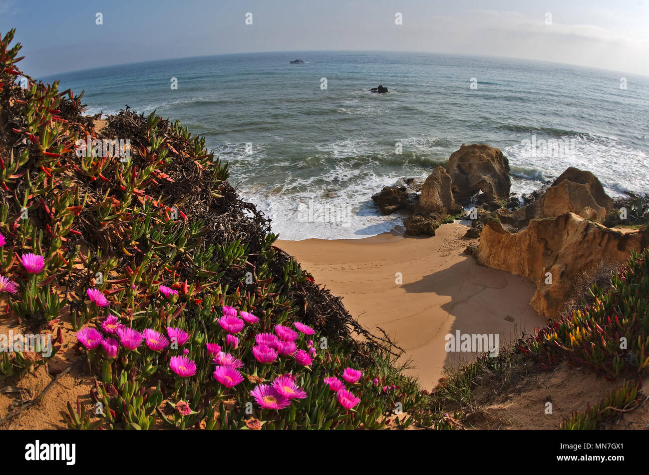 Gale Beach scene, fish-eye shot in Albufeira. Portugal Stock Photo - Alamy