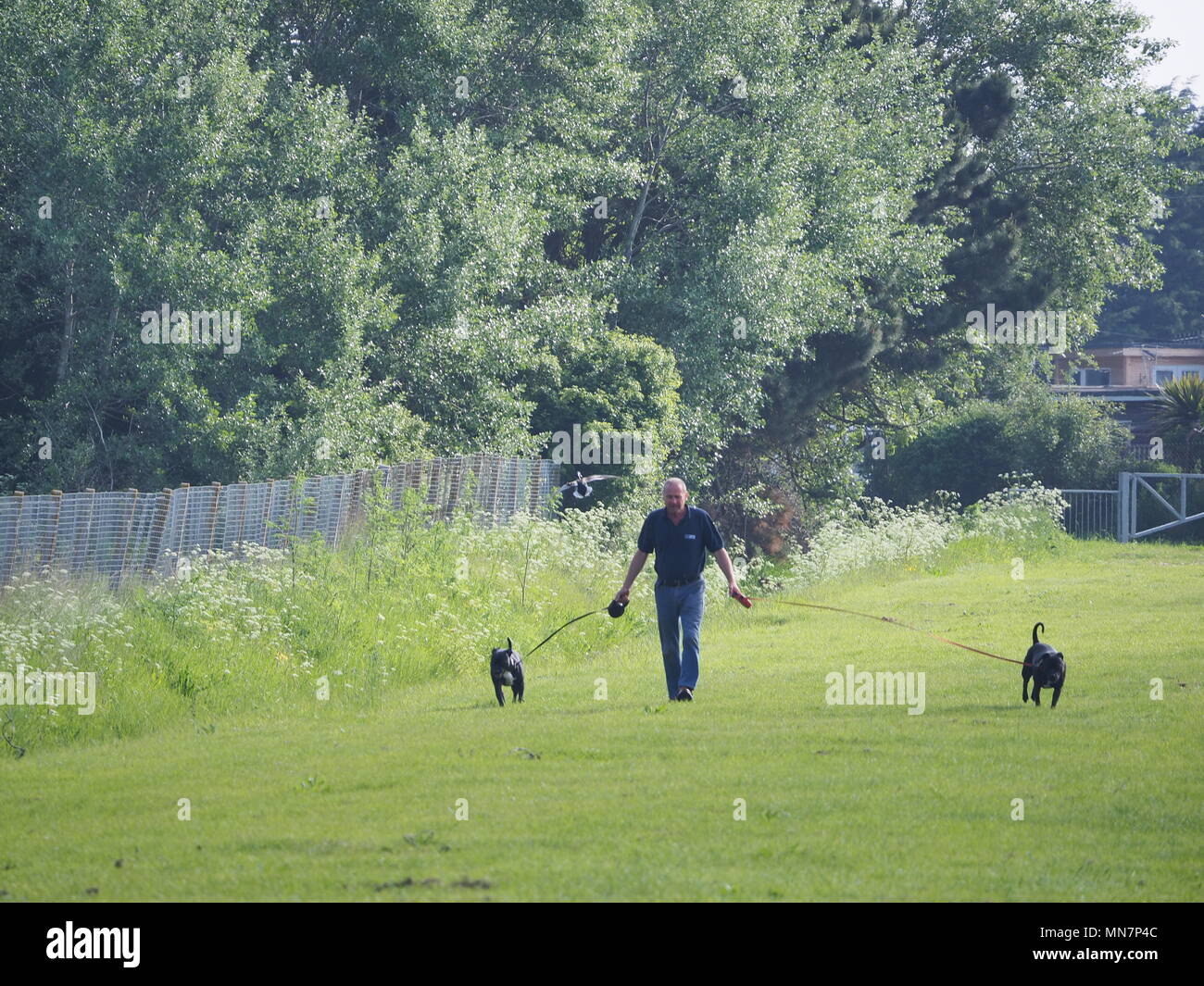 Sheerness, Kent, UK. 15th May, 2018. UK Weather: a sunny start to the ...