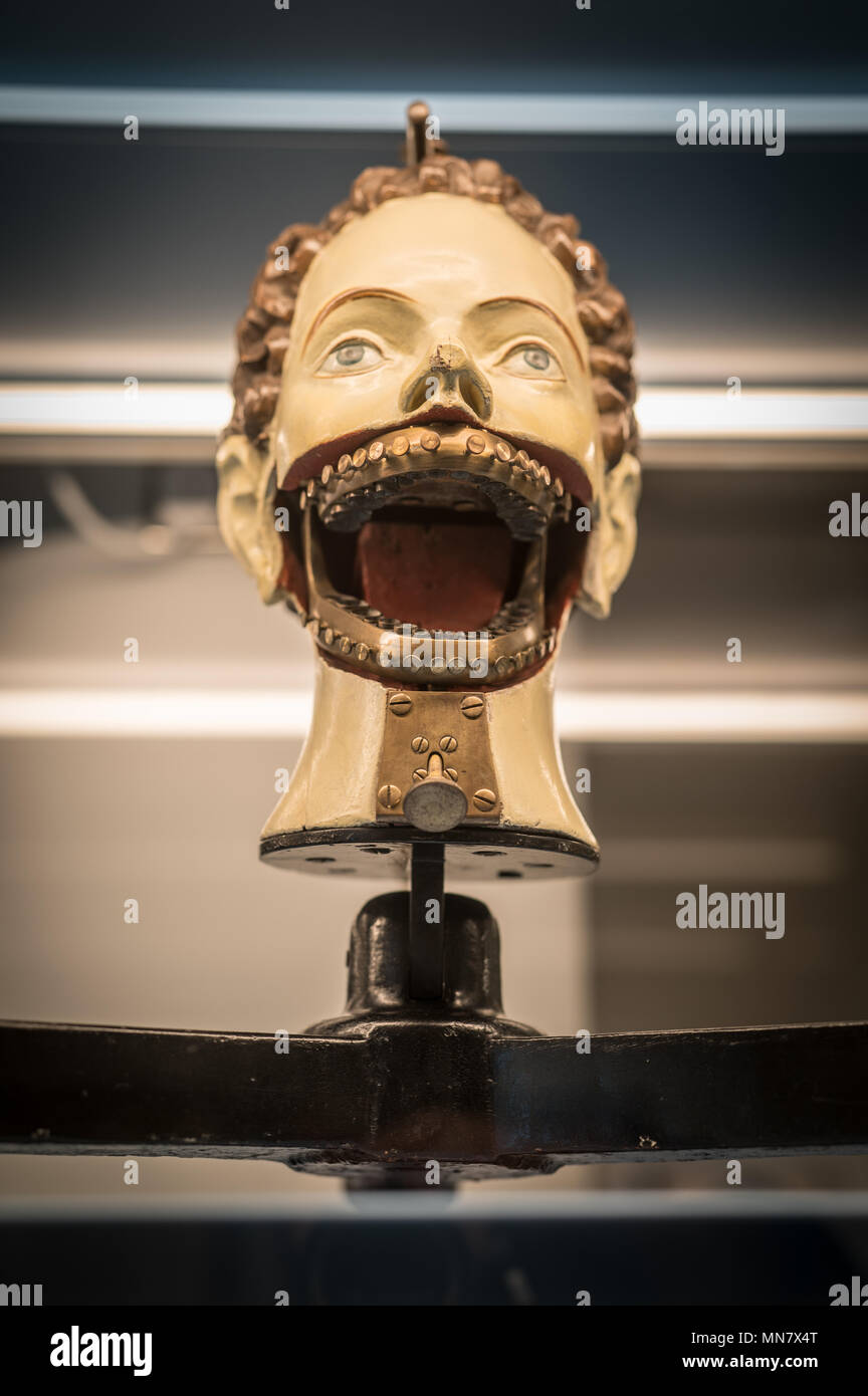 Wellcome collection hi-res stock photography and images - Alamy