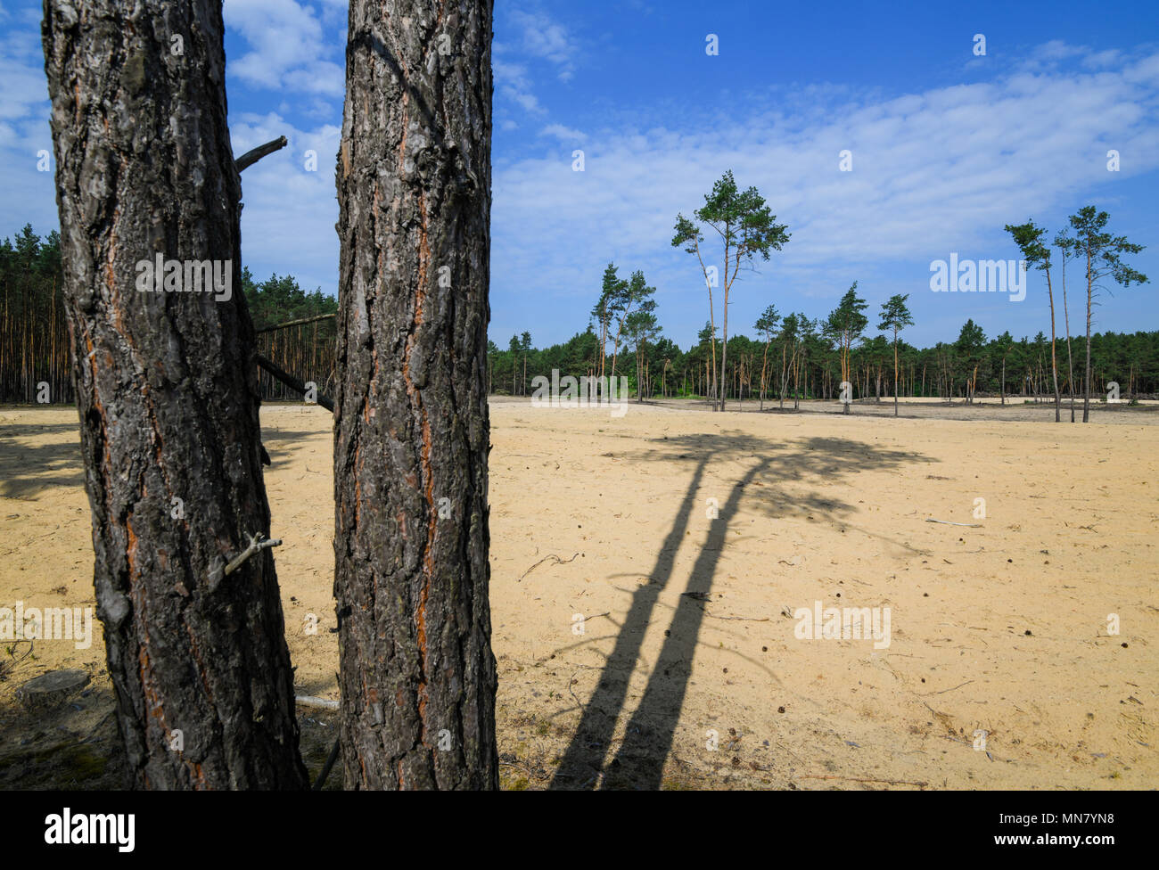 Bugk hi-res stock photography and images - Alamy