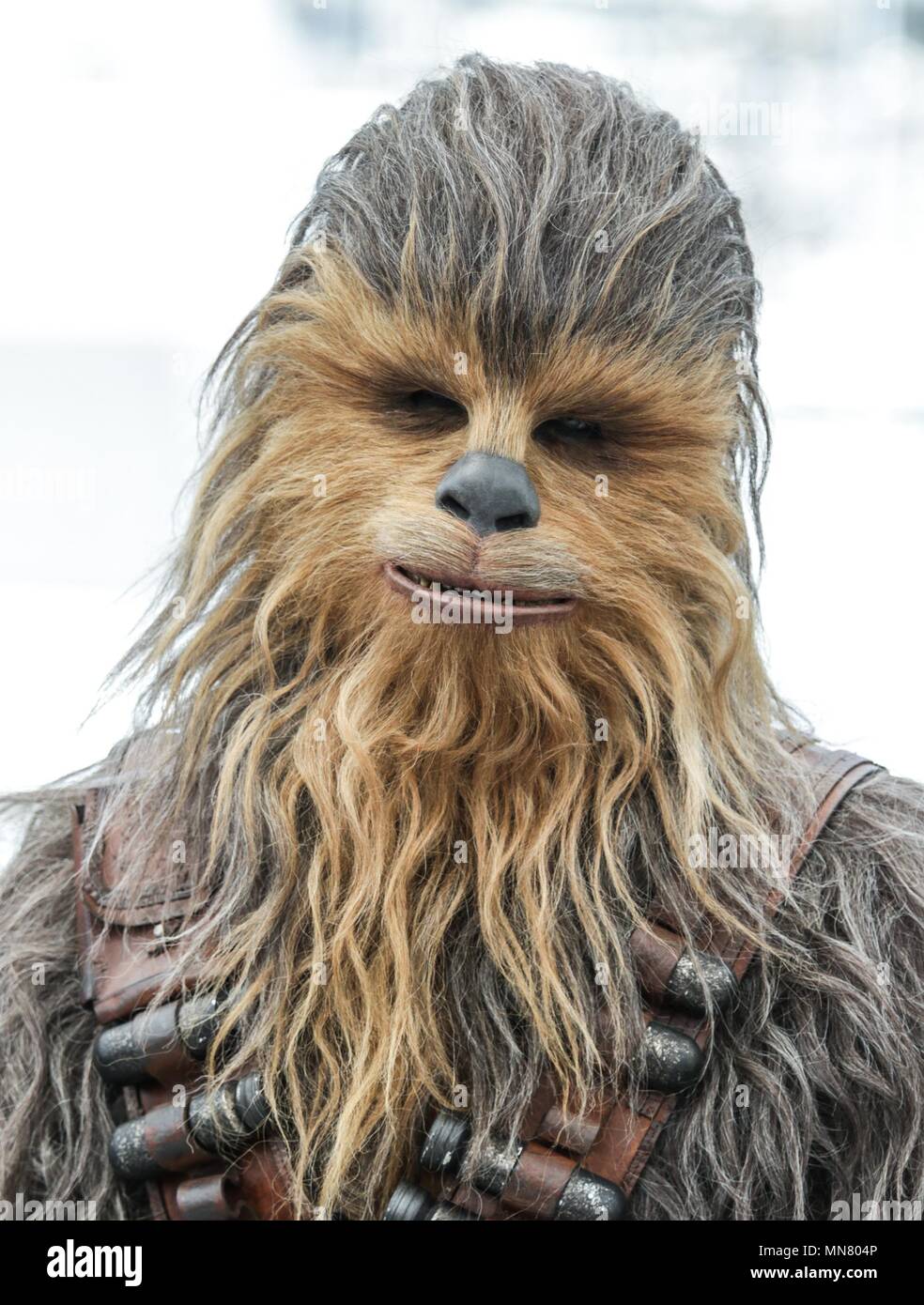 Cannes, France. 15th May 2018. Chewbacca Actor Solo: A Star Wars Story ...