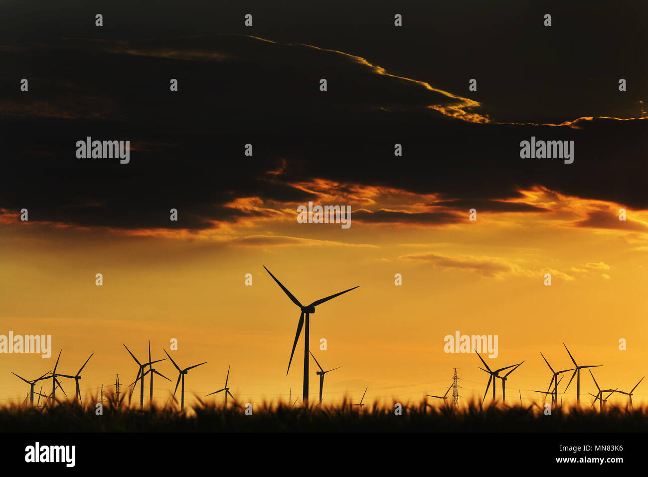 Sunset with wind turbines in Dobrogea , Romania Stock Photo - Alamy