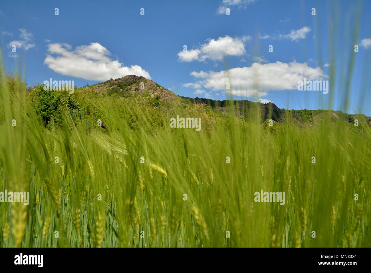 Amazing agriculture landscape in Macin mountains of Dobrogea, Romania ...