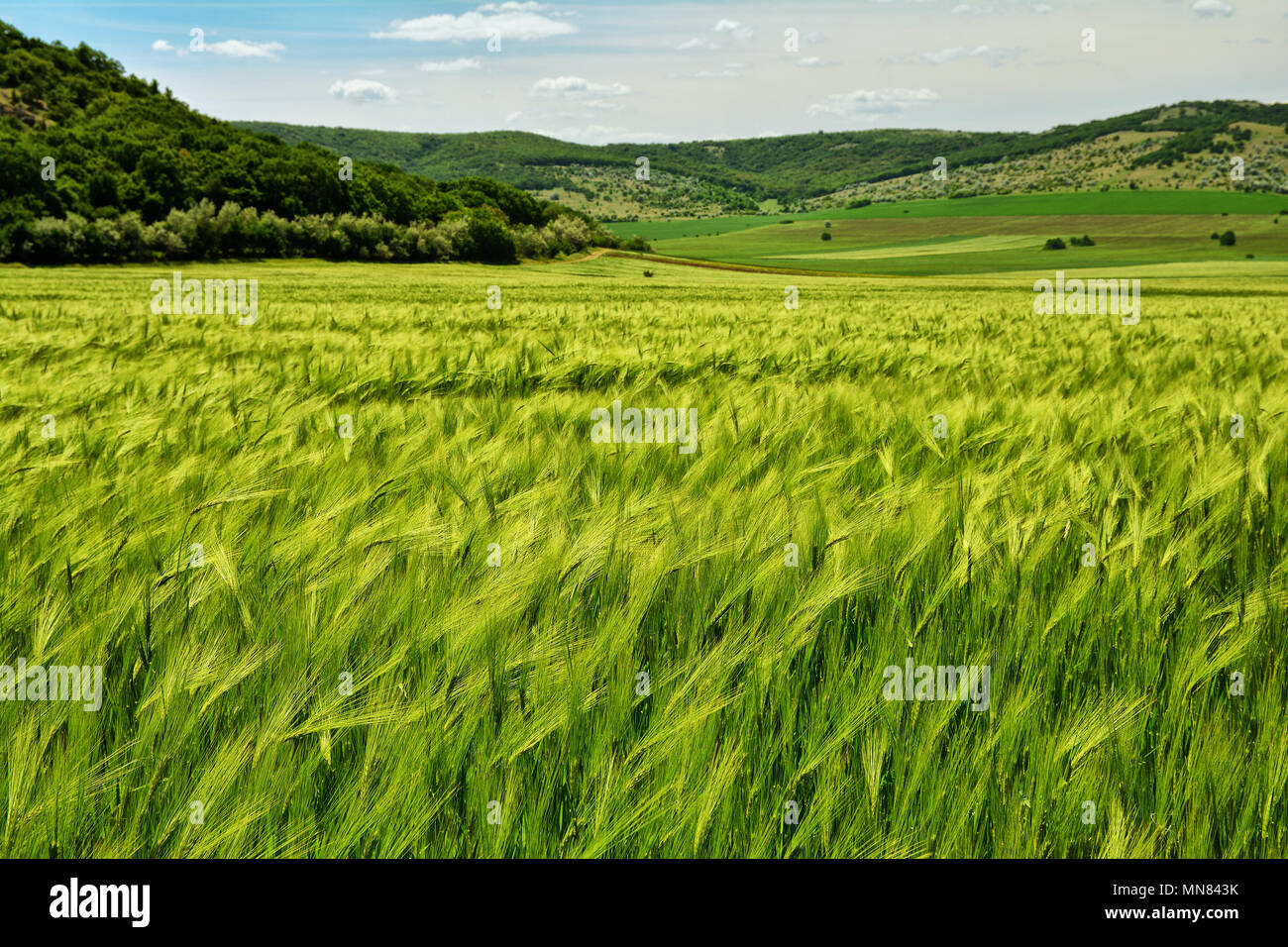 Amazing agriculture landscape in Macin mountains of Dobrogea, Romania ...