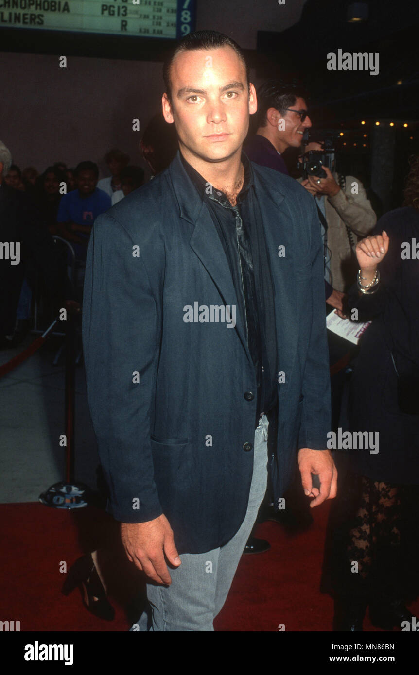 UNIVERSAL CITY, CA - AUGUST 13: Actor Eric DaRe attends the 'Wild at ...