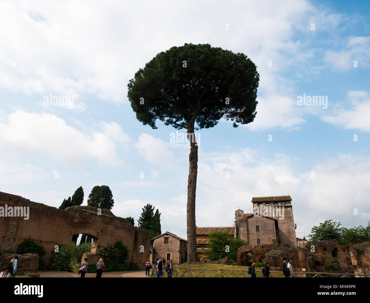 Trees bushes in ruins hi-res stock photography and images - Alamy