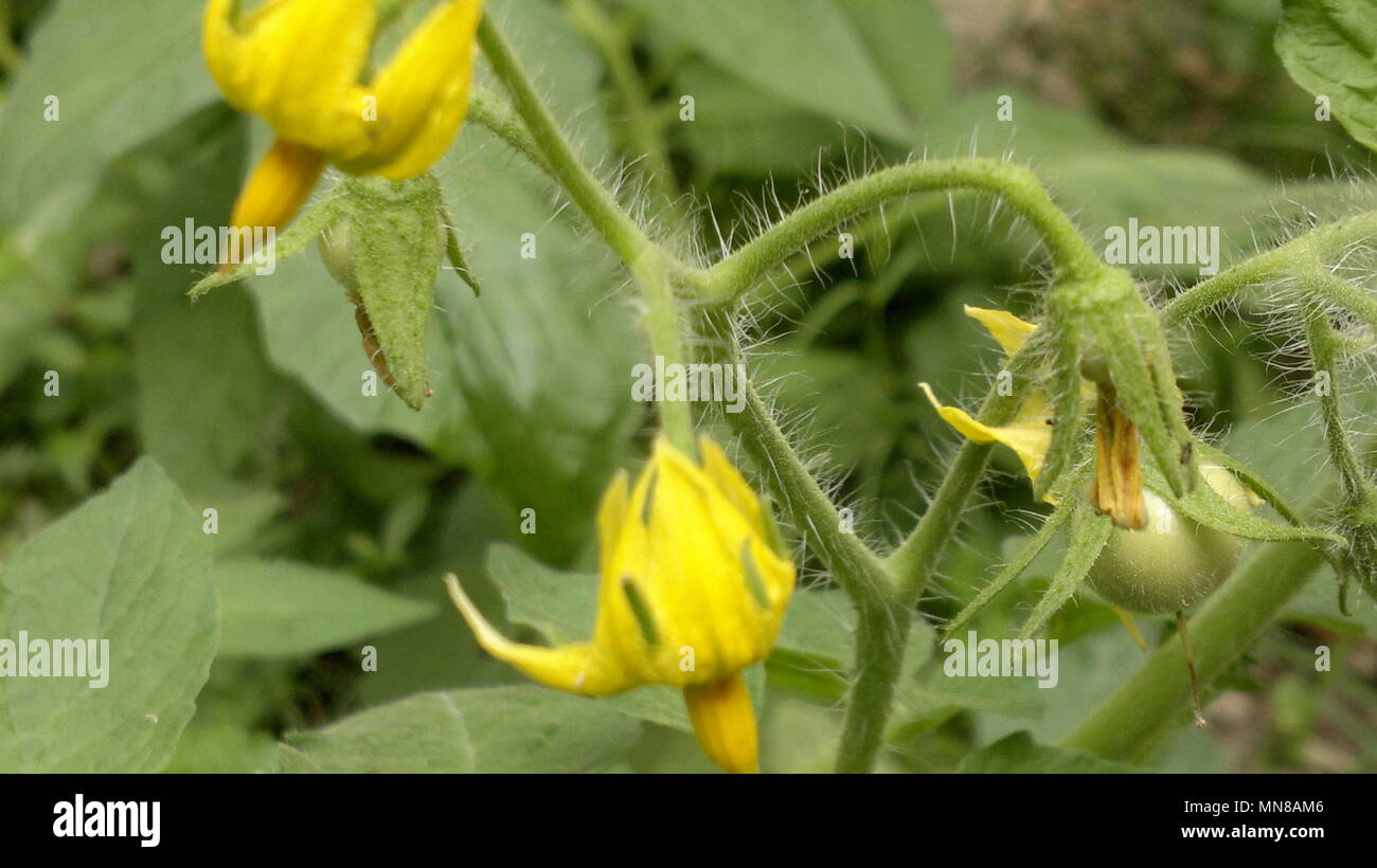 Alamy stock hi-res stock photography and images - Alamy