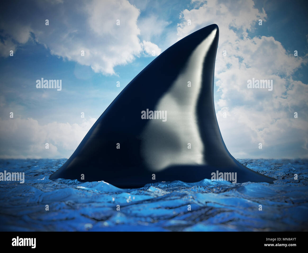 Shark fin tail hi-res stock photography and images - Alamy