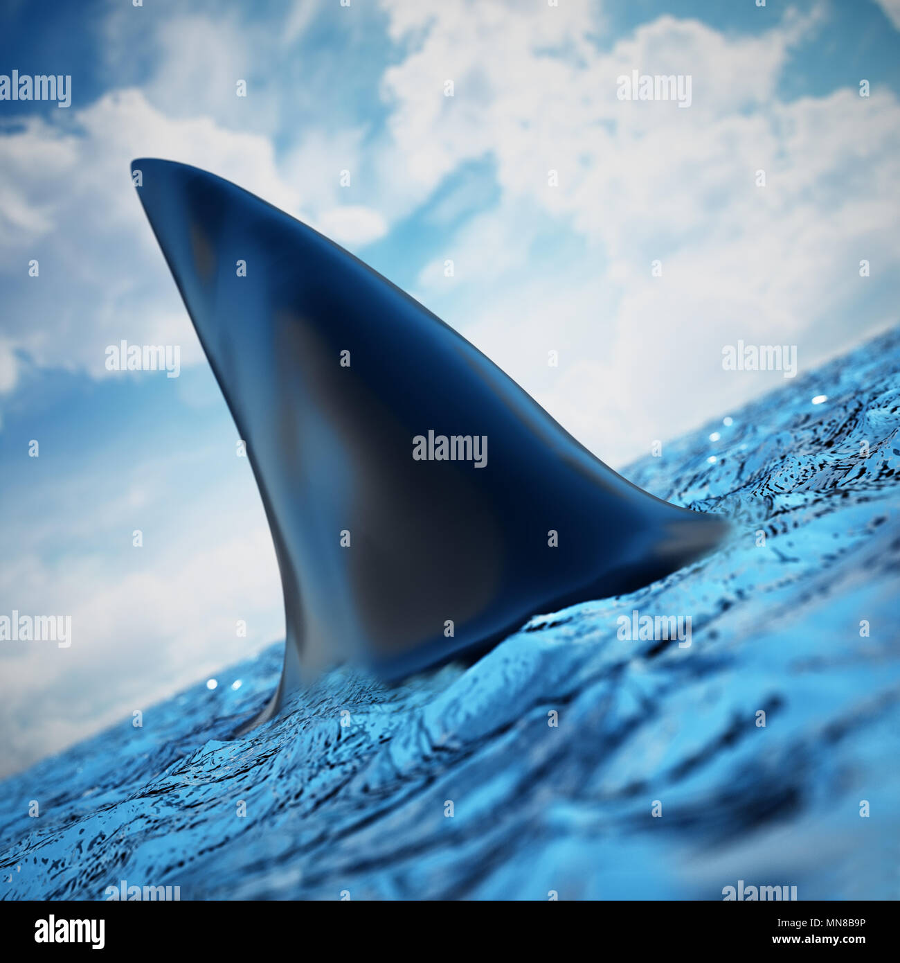 Shark fin tail hi-res stock photography and images - Alamy