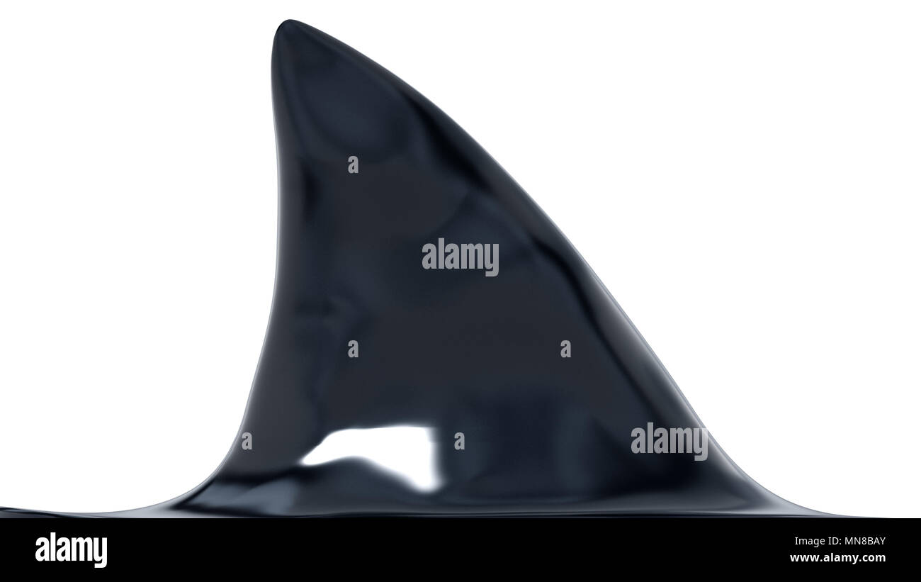Great white shark dorsal fin hi-res stock photography and images - Alamy