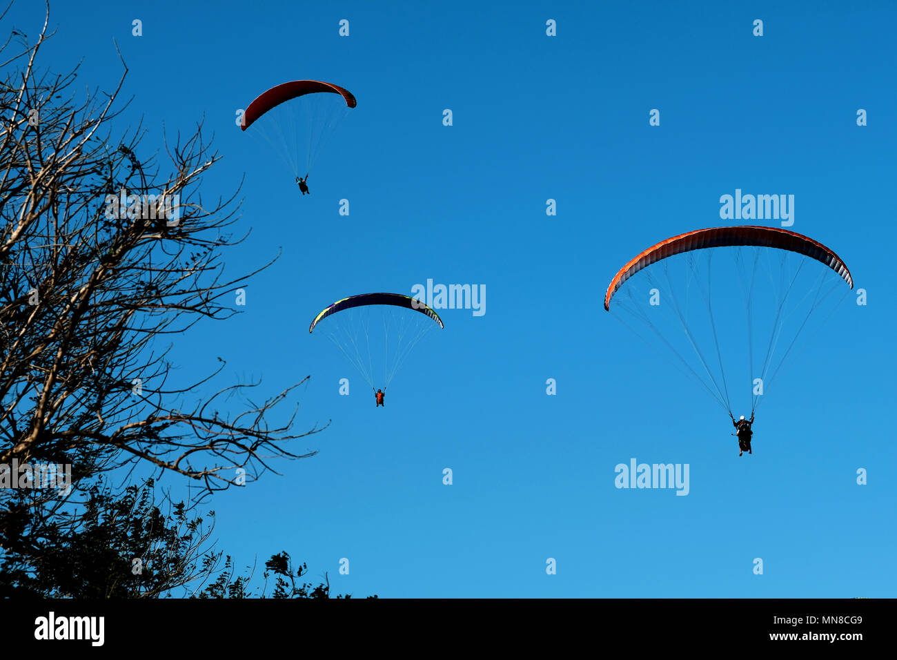 Paragliding indonesia hi-res stock photography and images - Alamy
