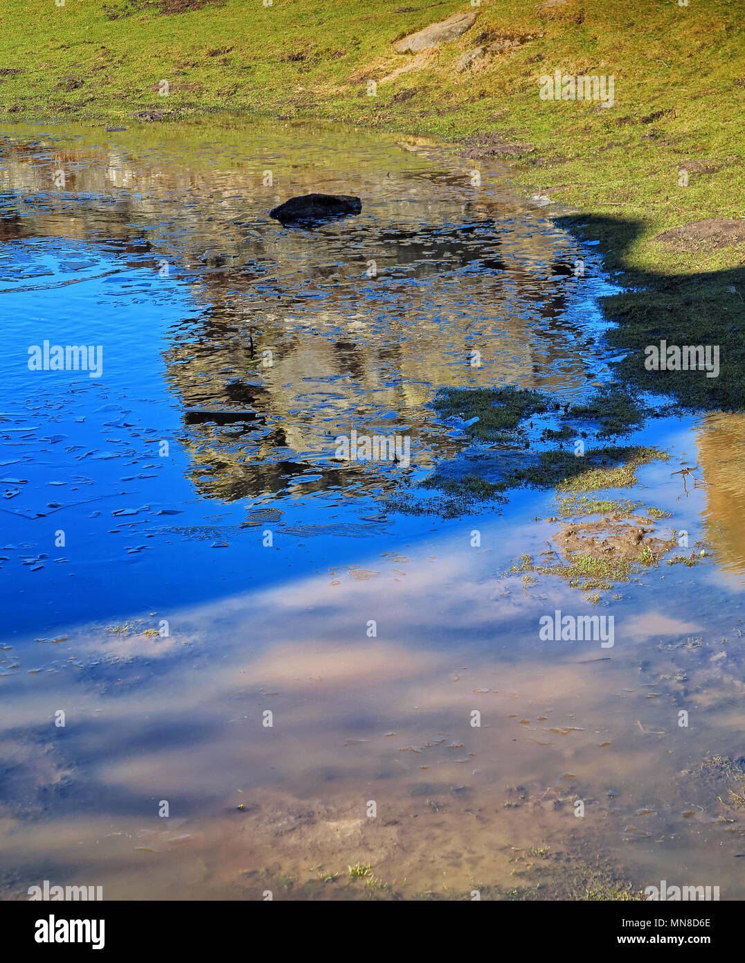 Face Reflections In Water