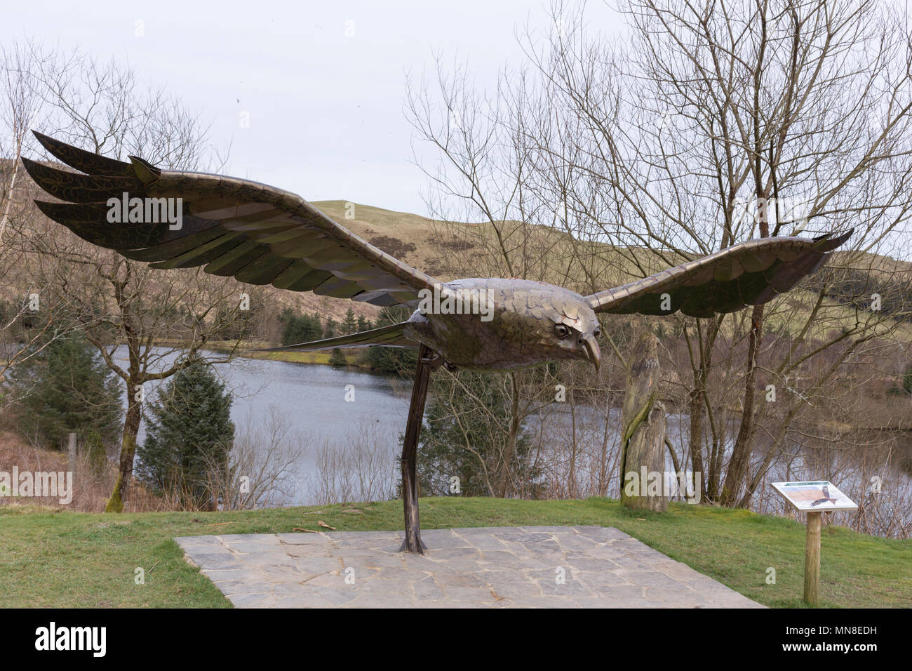 Bwlch nant yr arian hi-res stock photography and images - Alamy